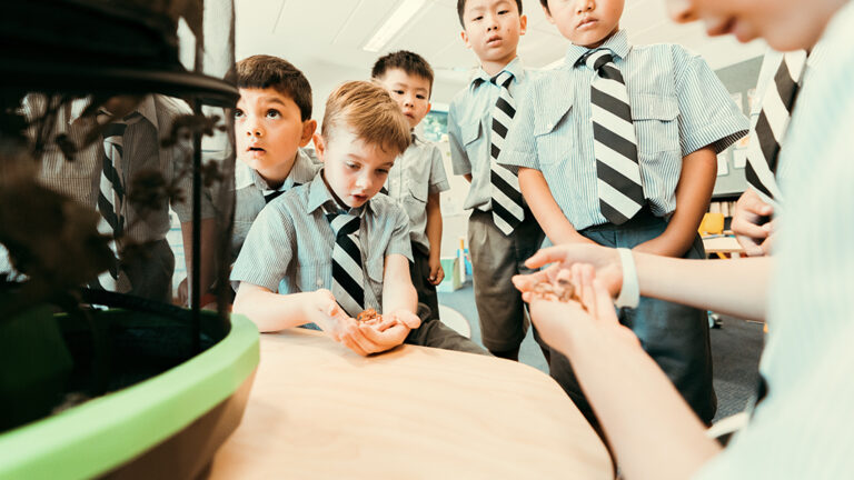 Lindfield Preparatory K-6 – Newington College