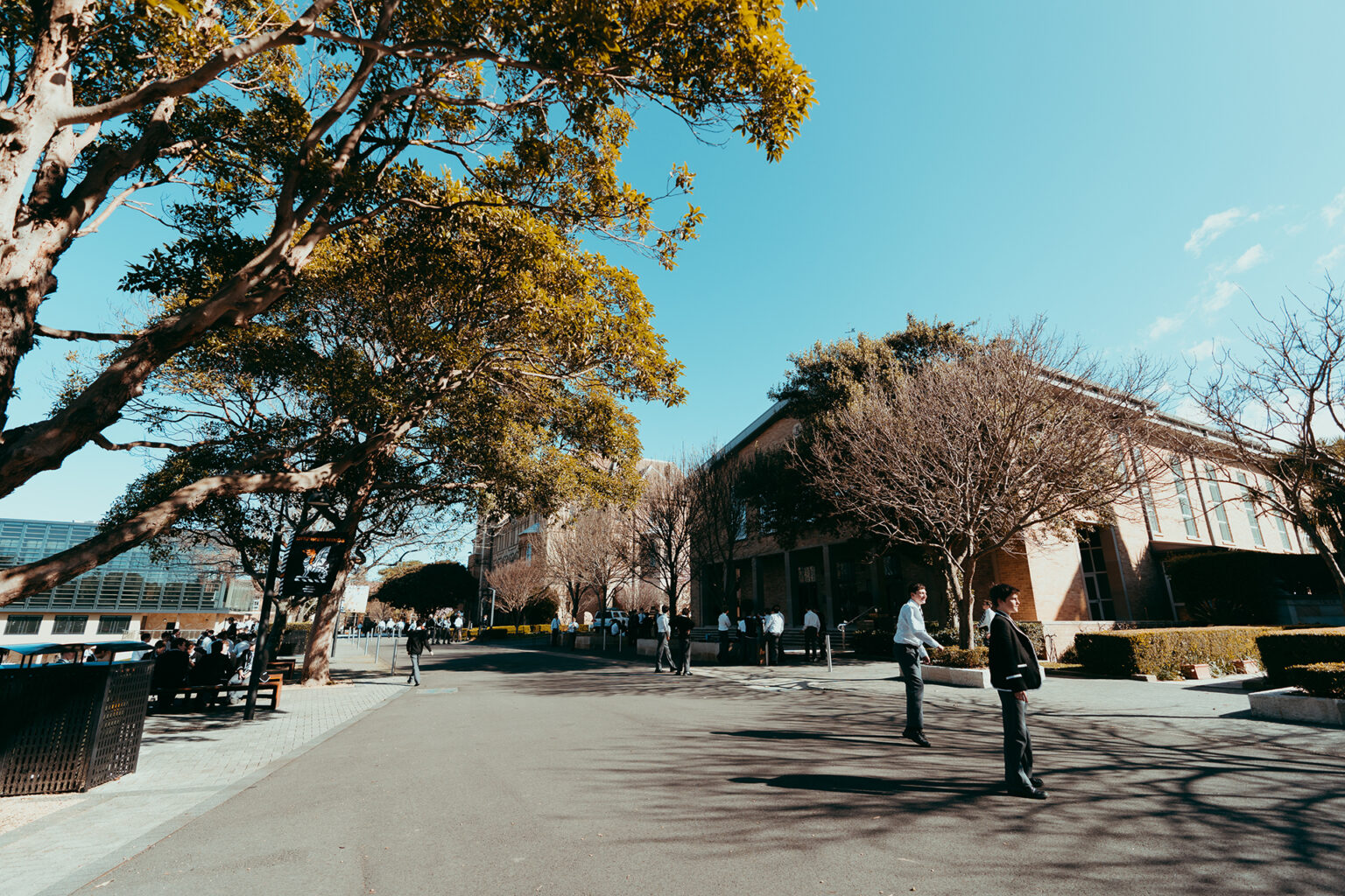 Stanmore 7-12 – Newington College