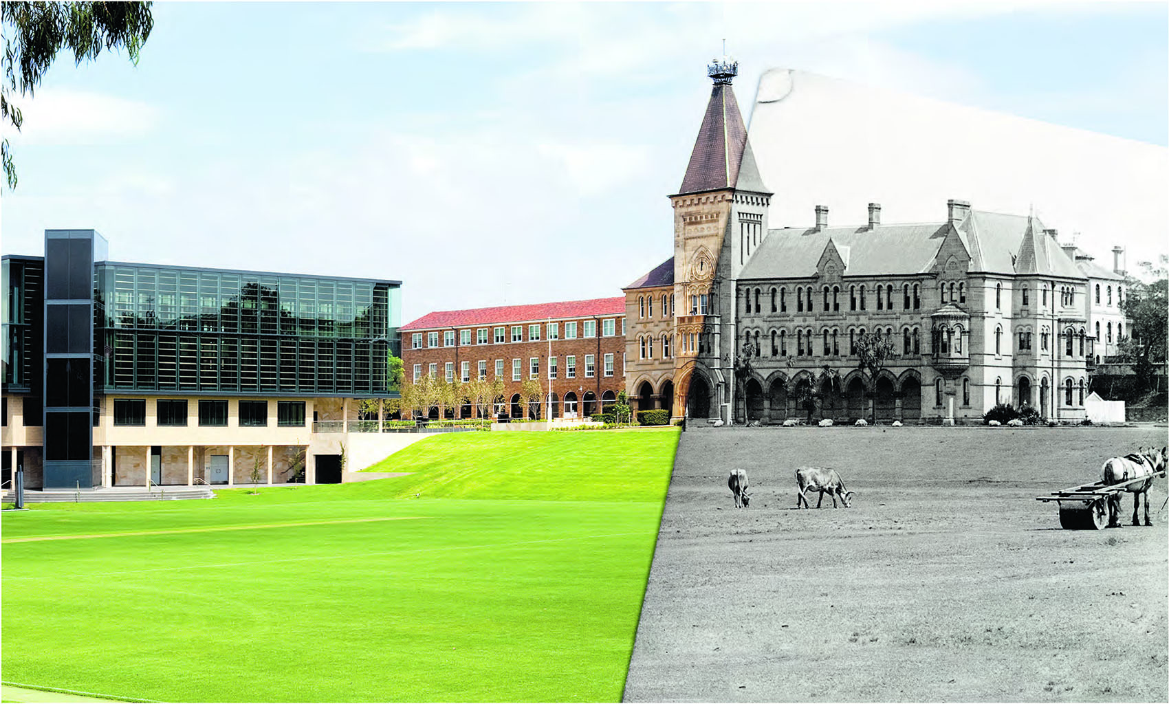 A Timeline of Newington College History – Newington College